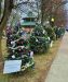 Welcome to the Monroe Holiday Tree Walk! - Monroe Holiday Tree Lights